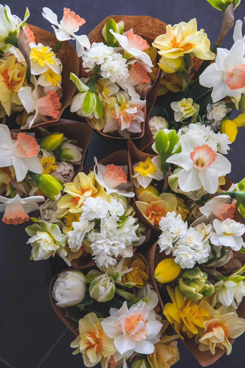 Spring 2023 Flowers Subscription | 4 weeks – Earth & Seeds